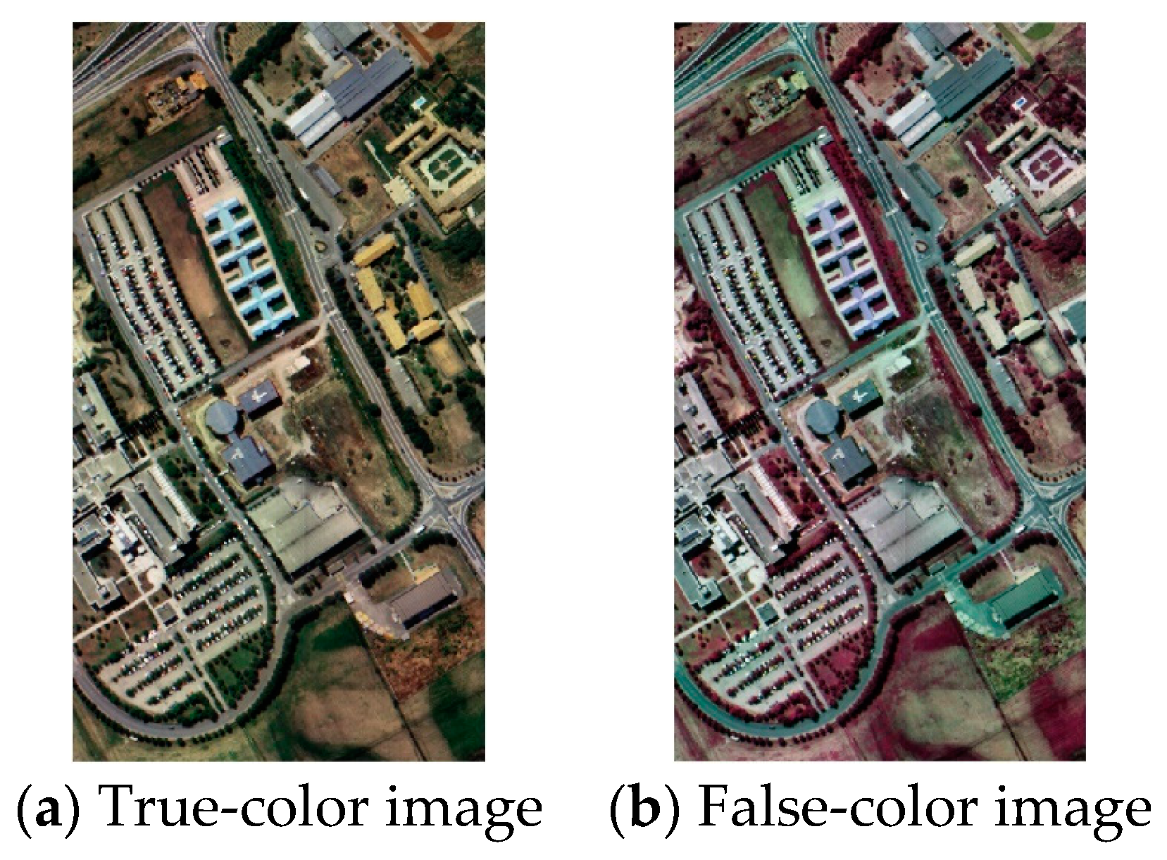 UMMFF: Unsupervised Multimodal Multilevel Feature Fusion Network for ...