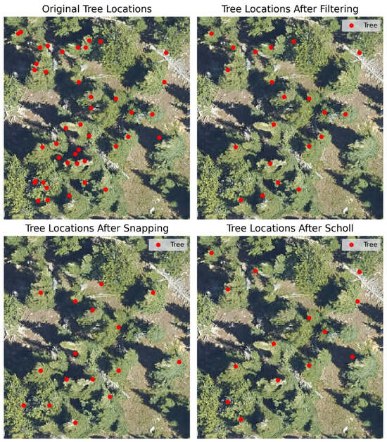 Assessing Data Preparation and Machine Learning for Tree Species Classification Using ...