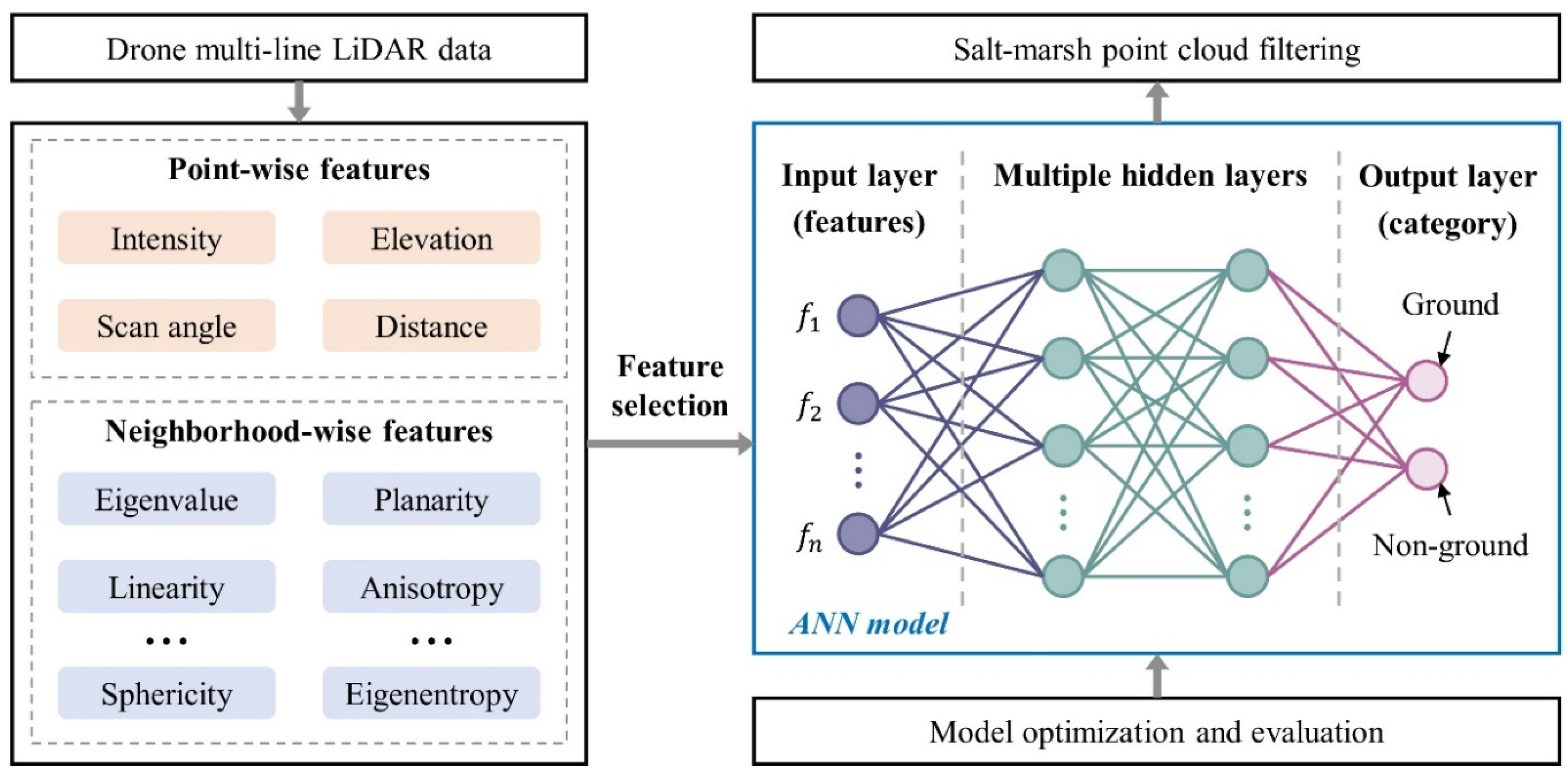 ANN-Based Filtering of Drone LiDAR in Coastal Salt Marshes Using ...