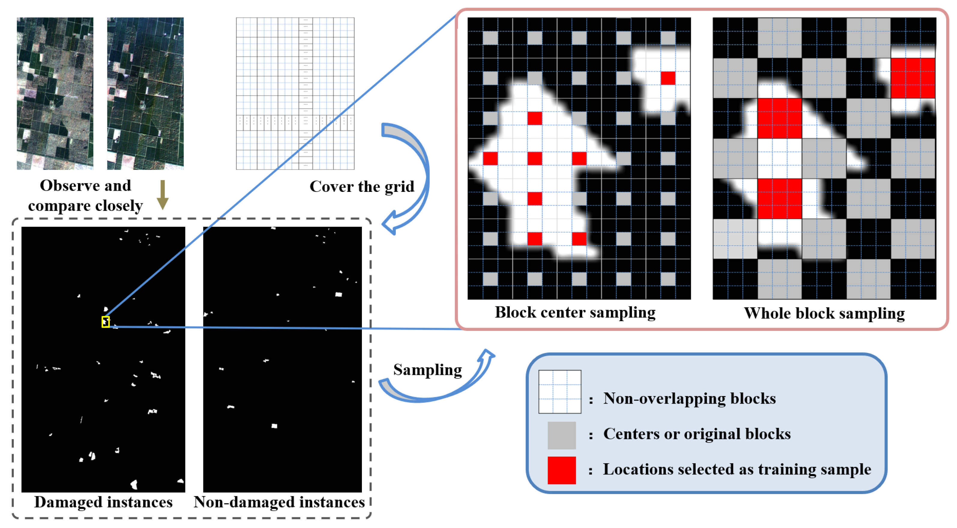 Forest Change Monitoring Based on Block Instance Sampling and Homomorphic Hypothesis Margin ...