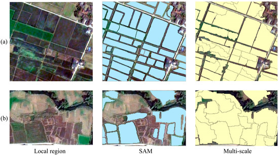 Segment Anything Model Combined with Multi-Scale Segmentation for Extracting Complex Cultivated ...