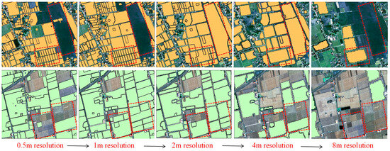 Segment Anything Model Combined with Multi-Scale Segmentation for Extracting Complex Cultivated ...