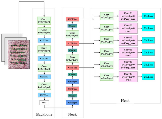 The Detection of Maize Seedling Quality from UAV Images Based on Deep ...