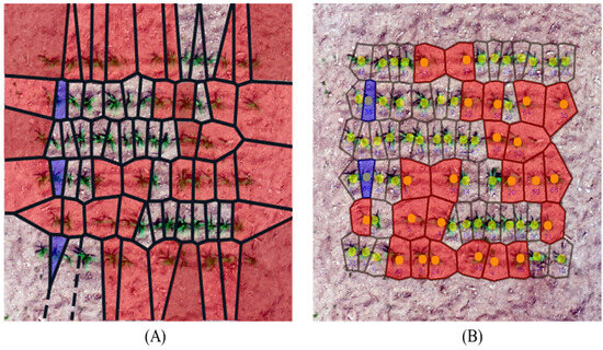 The Detection of Maize Seedling Quality from UAV Images Based on Deep ...