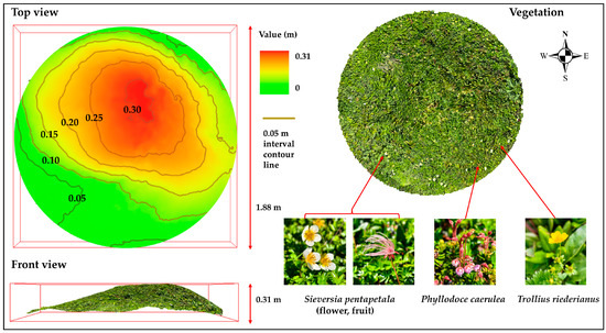 Mapping Earth Hummocks in Daisetsuzan National Park in Japan Using UAV ...