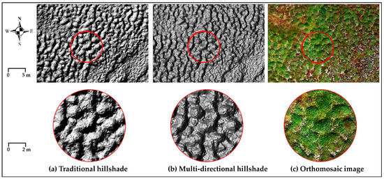 Mapping Earth Hummocks in Daisetsuzan National Park in Japan Using UAV ...