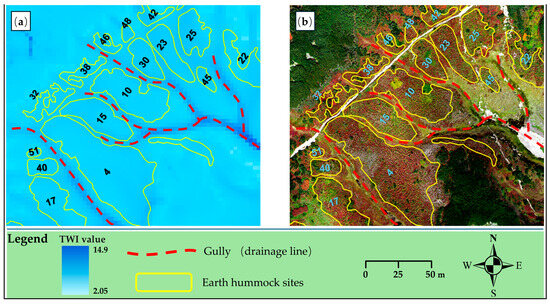 Mapping Earth Hummocks in Daisetsuzan National Park in Japan Using UAV ...