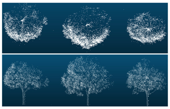 Tree Completion Net: A Novel Vegetation Point Clouds Completion Model ...