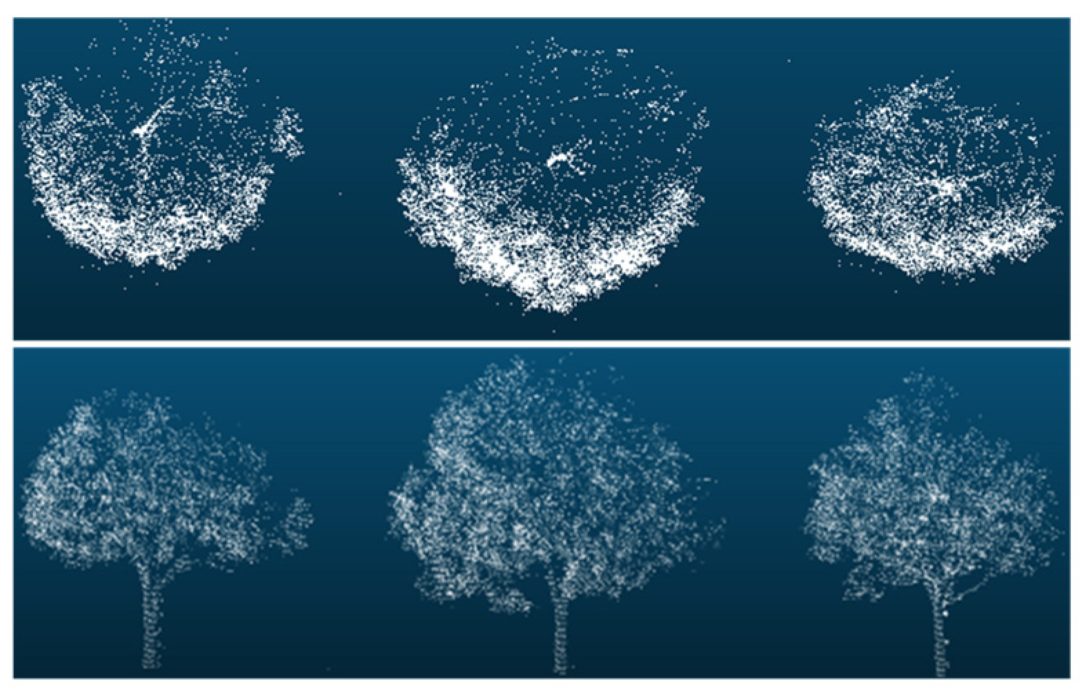 Tree Completion Net: A Novel Vegetation Point Clouds Completion Model Based on Deep Learning