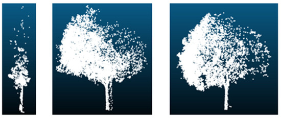 Tree Completion Net: A Novel Vegetation Point Clouds Completion Model ...