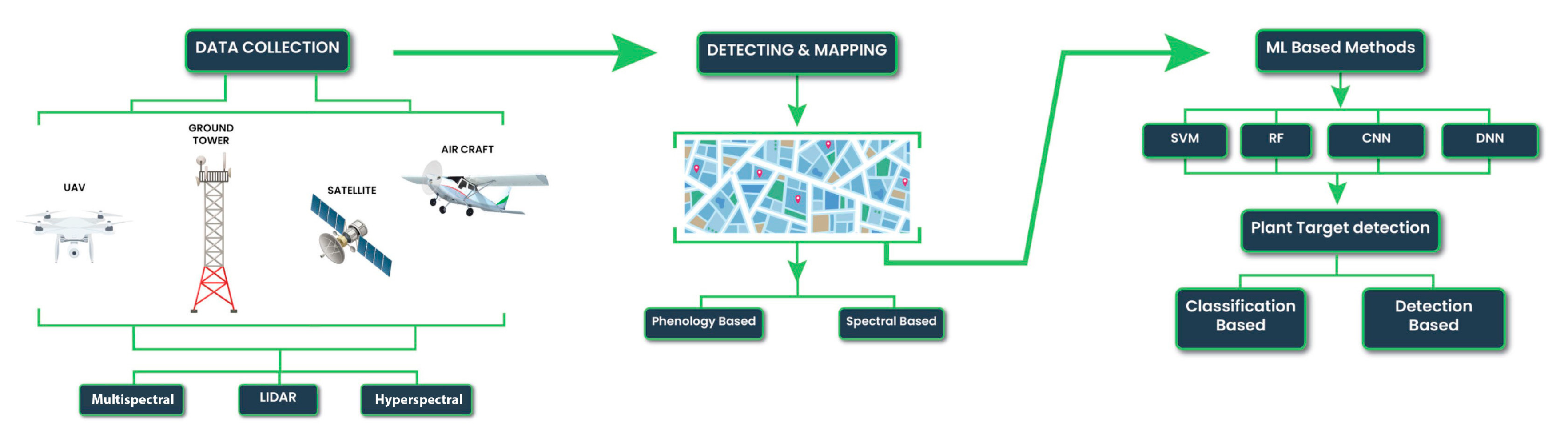 Advances in Remote Sensing and Machine Learning Methods for Invasive Plants Study: A ...