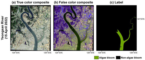 Detection of Floating Algae Blooms on Water Bodies Using PlanetScope ...