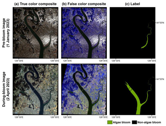 Detection of Floating Algae Blooms on Water Bodies Using PlanetScope ...
