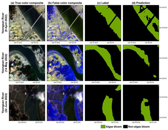 Detection of Floating Algae Blooms on Water Bodies Using PlanetScope ...