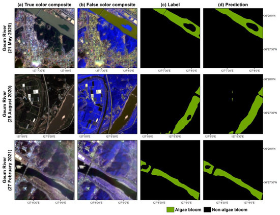 Detection of Floating Algae Blooms on Water Bodies Using PlanetScope ...