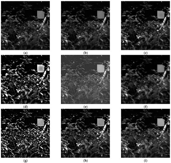 Infrared and Visible Image Fusion via Sparse Representation and Guided Filtering in Laplacian ...
