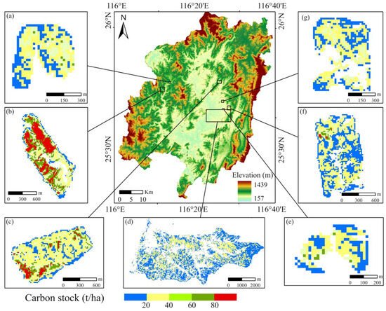 Mapping Forest Carbon Stock Distribution in a Subtropical Region with ...
