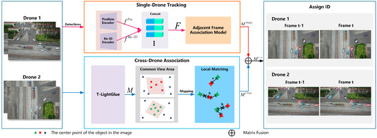 STCA: High-Altitude Tracking via Single-Drone Tracking and Cross-Drone Association