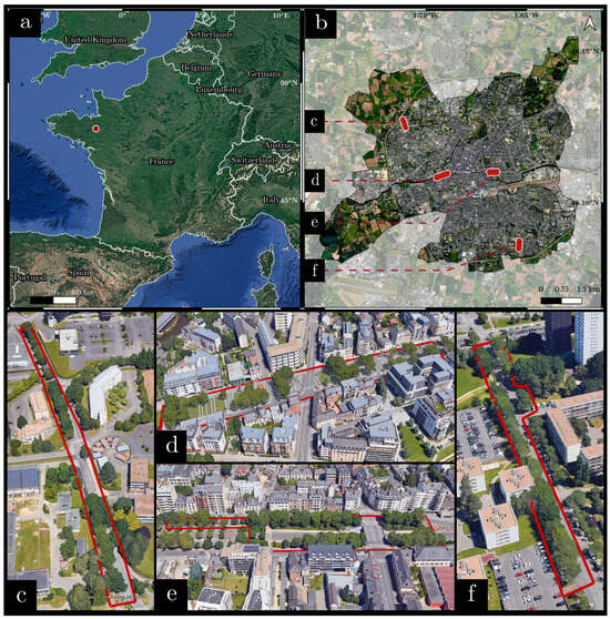 Estimation of Urban Tree Chlorophyll Content and Leaf Area Index Using ...