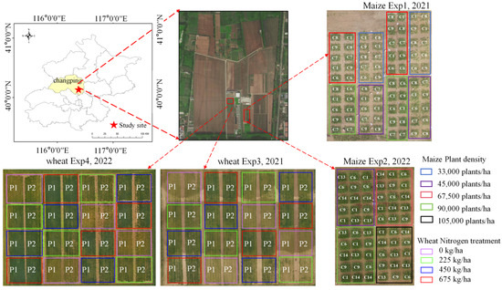 Enhanced Crop Leaf Area Index Estimation via Random Forest Regression: Bayesian Optimization and ...