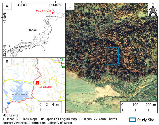 Tree Species Classification by Multi-Season Collected UAV Imagery in a ...