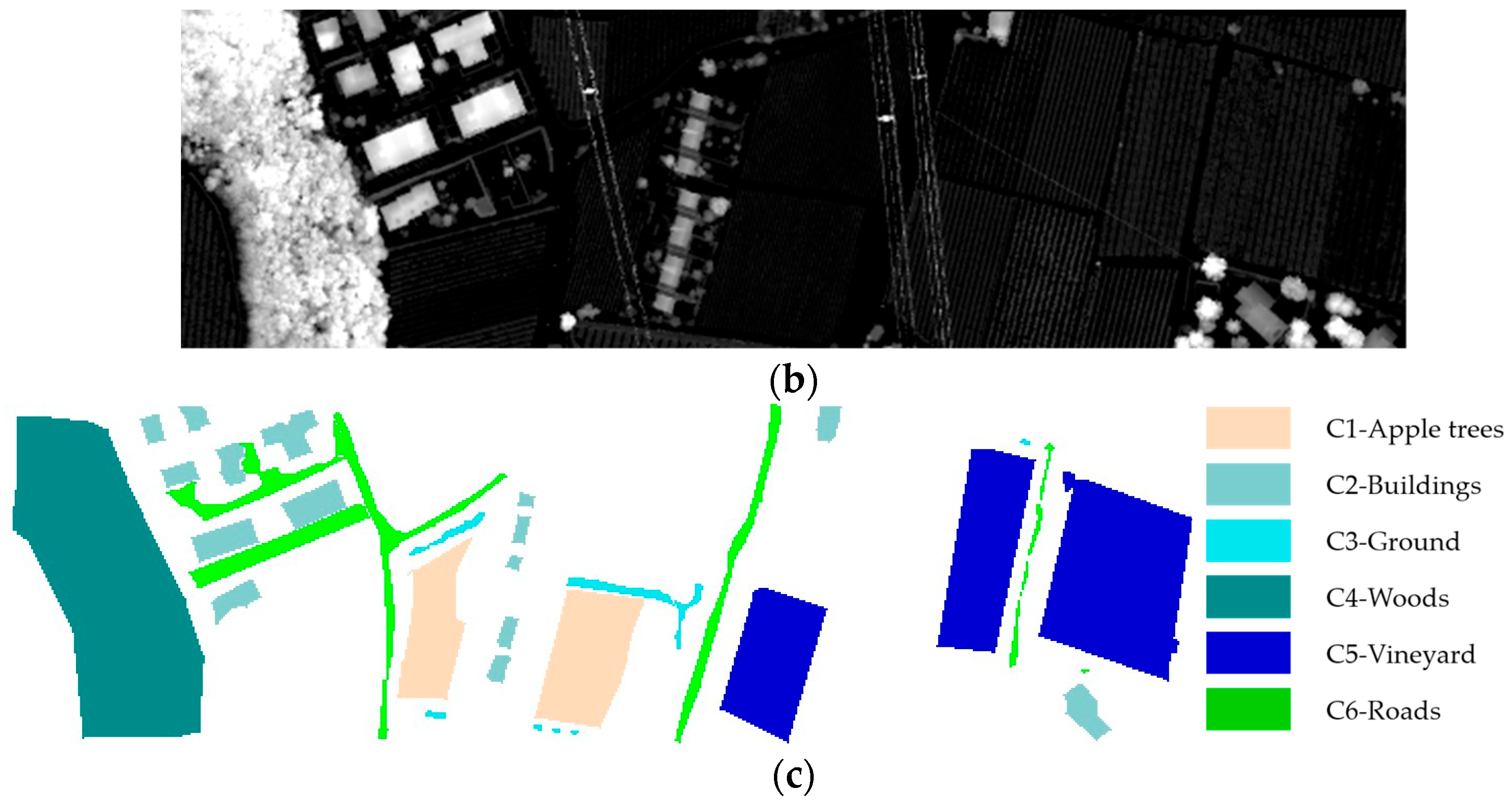 Cross Attention-Based Multi-Scale Convolutional Fusion Network for Hyperspectral and LiDAR Joint ...