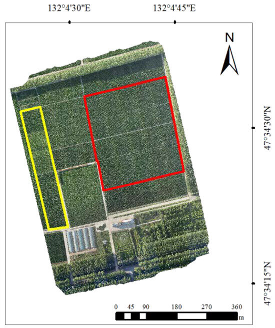 Crop Classification from Drone Imagery Based on Lightweight Semantic ...