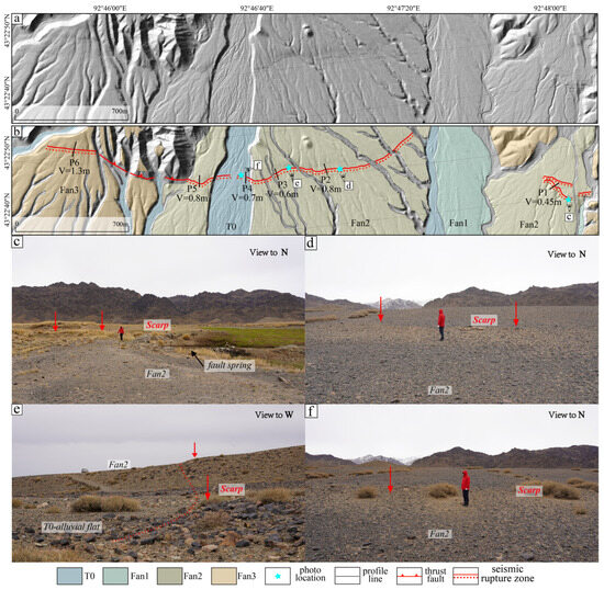 The Seismic Surface Rupture Zone in the Western Segment of the Northern ...