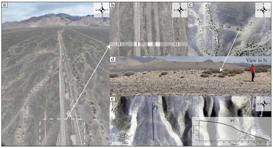 The Seismic Surface Rupture Zone in the Western Segment of the Northern ...