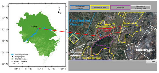 Vertical Distribution, Diurnal Evolution, and Source Region of ...