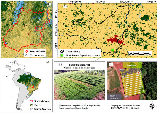Deep Learning for Weed Detection and Segmentation in Agricultural Crops ...