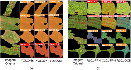 Deep Learning for Weed Detection and Segmentation in Agricultural Crops Using Images Captured by ...