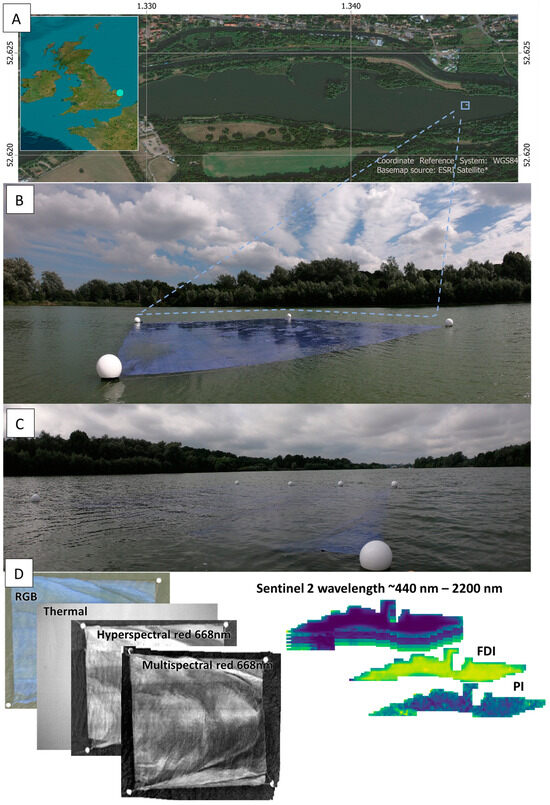 Assessing the Effect of Water on Submerged and Floating Plastic Detection Using Remote Sensing ...