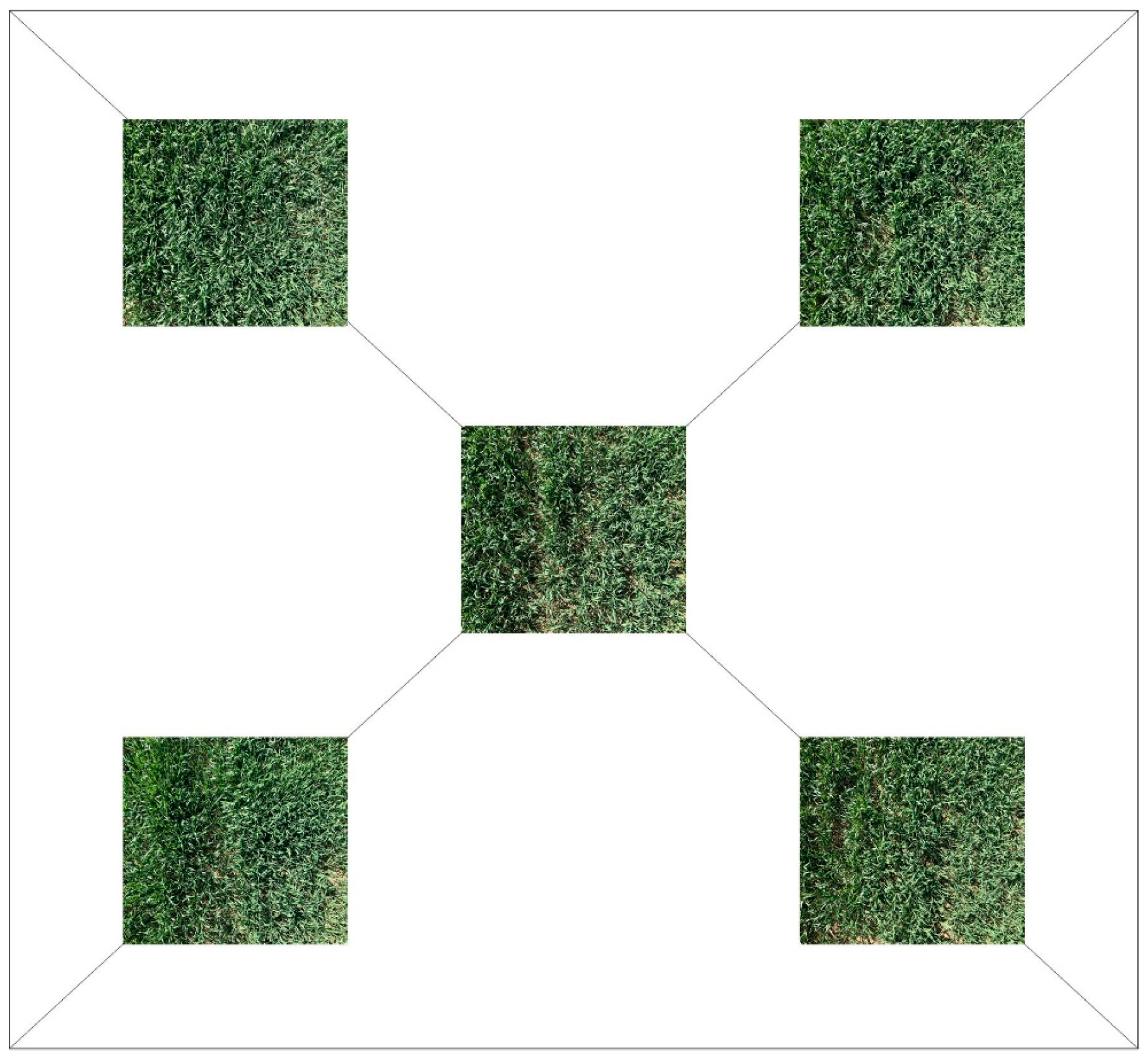 A Multispectral Feature Selection Method Based on a Dual-Attention ...