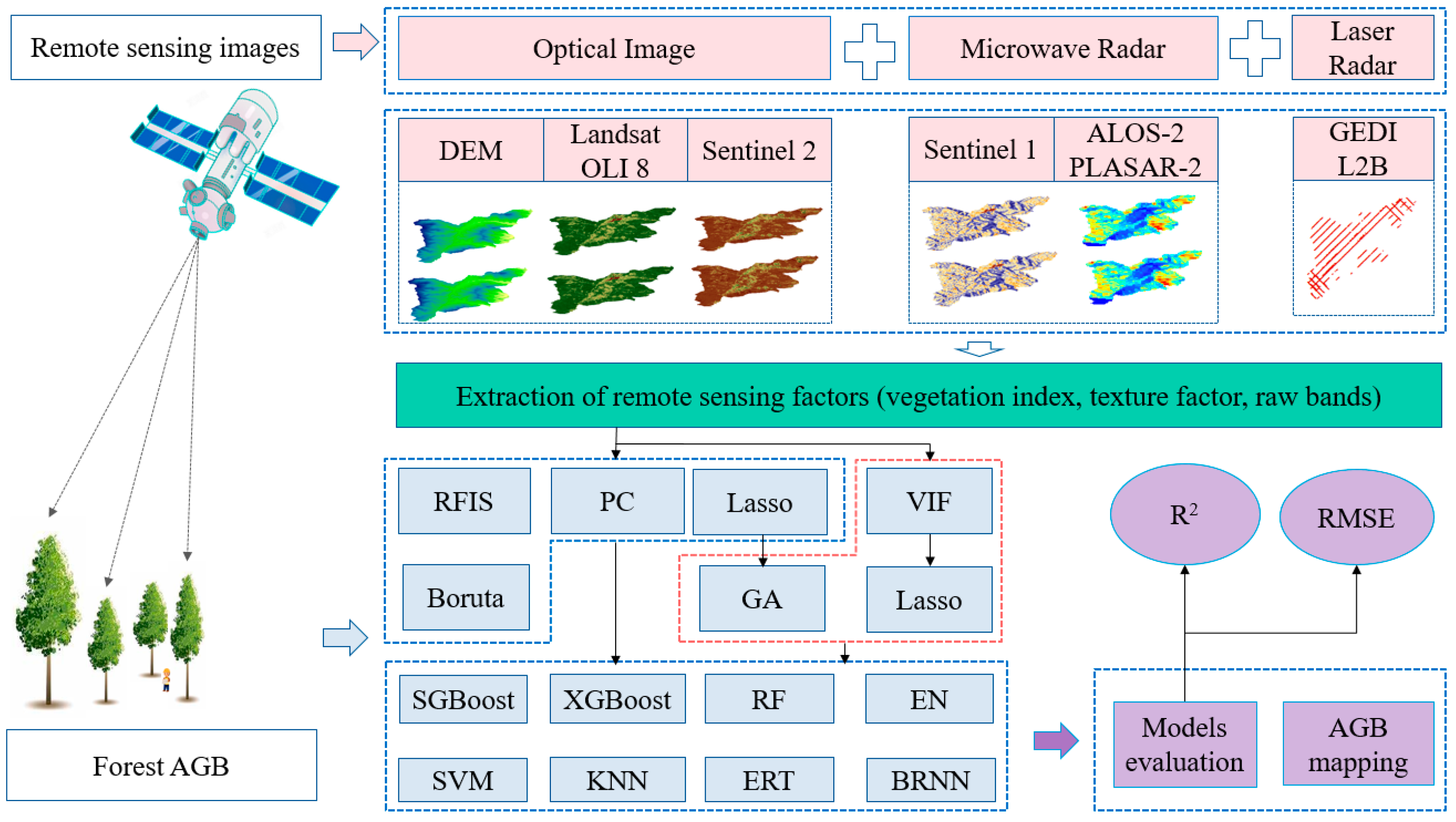 Improving Forest Above-Ground Biomass Estimation Accuracy Using Multi ...