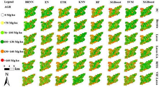 Improving Forest Above-Ground Biomass Estimation Accuracy Using Multi-Source Remote Sensing and ...