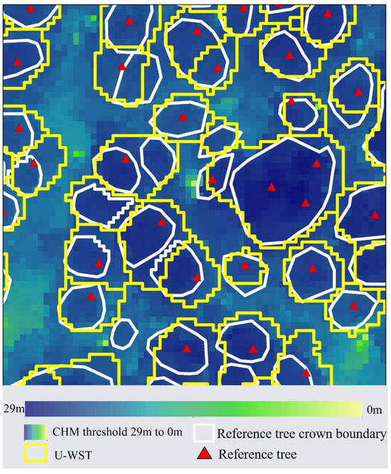 3D-CNN with Multi-Scale Fusion for Tree Crown Segmentation and Species ...