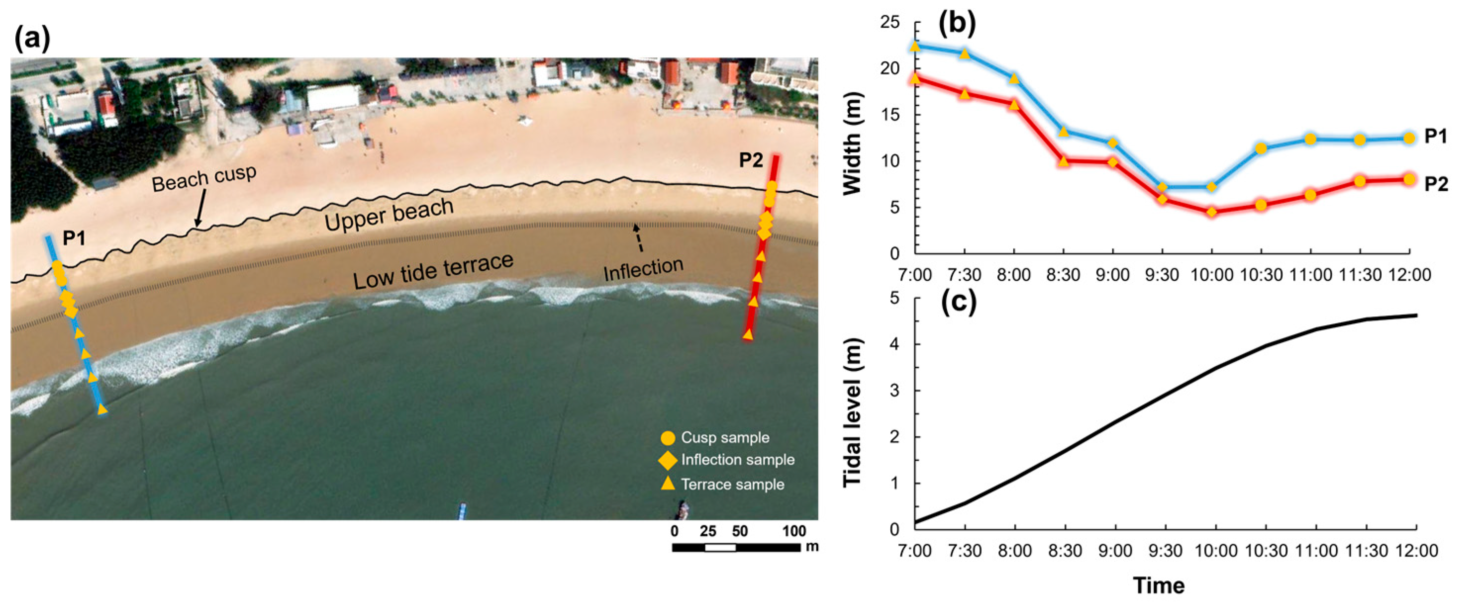 Analysis of Tidal Cycle Wave Breaking Distribution Characteristics on a ...