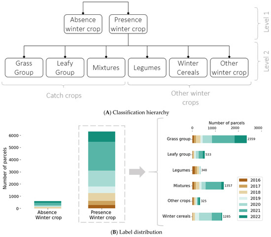 Field-Level Classification of Winter Catch Crops Using Sentinel-2 Time ...