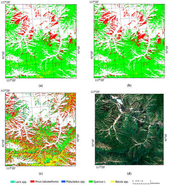 Dominant Tree Species Mapping Using Machine Learning Based on Multi-Temporal and Multi-Source Data