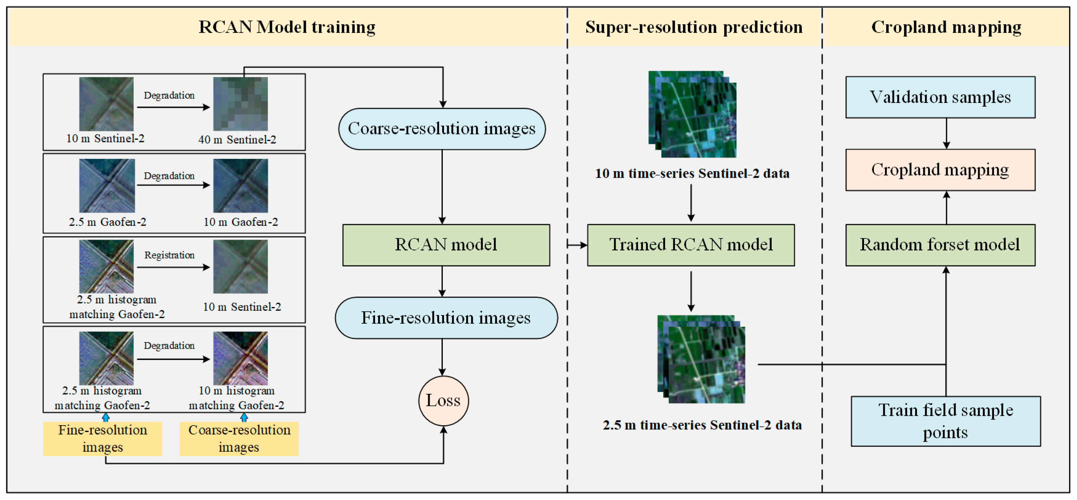 Enhancing Cropland Mapping with Spatial Super-Resolution Reconstruction by Optimizing Training ...