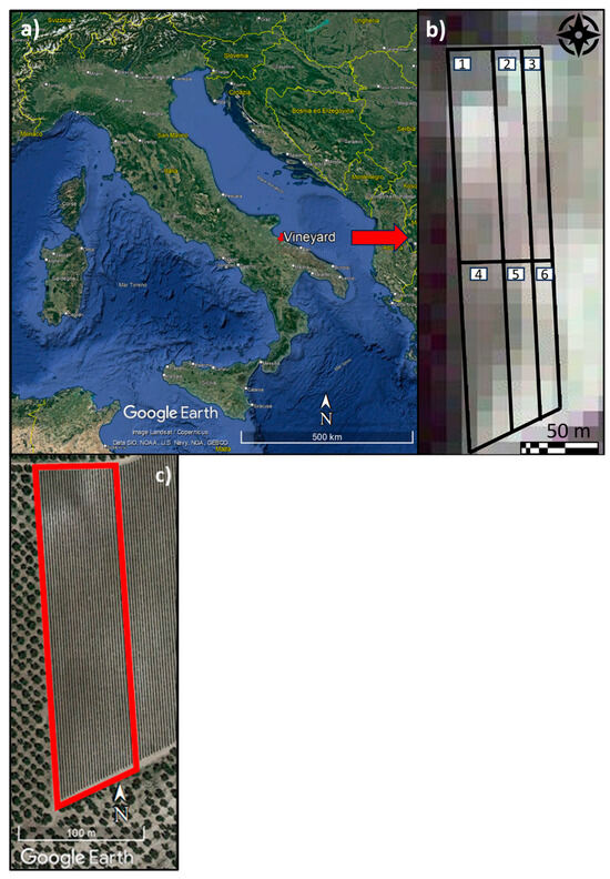 Temporal Vine Water Status Modeling Through Machine Learning Ensemble Technique and Sentinel-2 ...