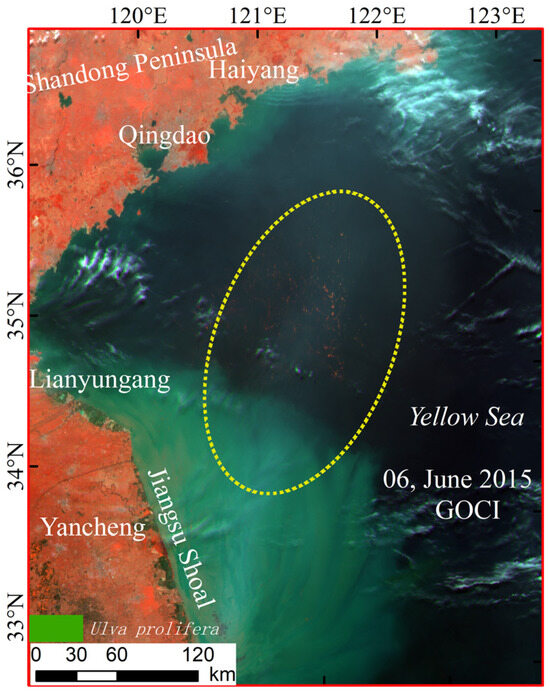 Identification of Green Tide Decomposition Regions in the Yellow Sea ...