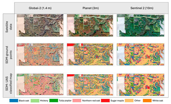 Multi-Scale Mapping and Analysis of Broadleaf Species Distribution ...