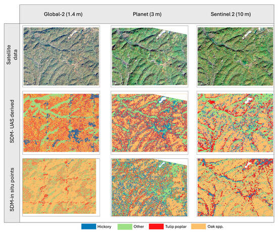 Multi-Scale Mapping and Analysis of Broadleaf Species Distribution Using Remotely Piloted ...