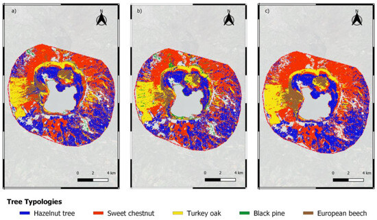 Comparison of Tree Typologies Mapping Using Random Forest Classifier ...