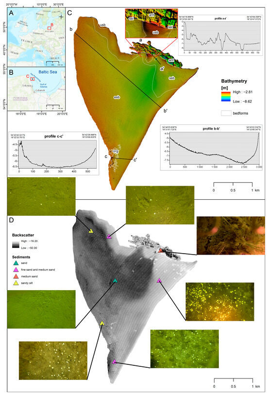 Advancing Seabed Bedform Mapping in the Kuźnica Deep: Leveraging ...