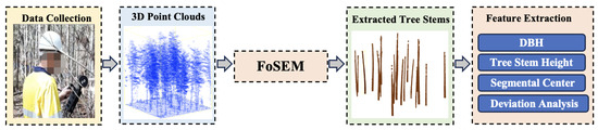 Forest Stem Extraction and Modeling (FoSEM): A LiDAR-Based Framework ...