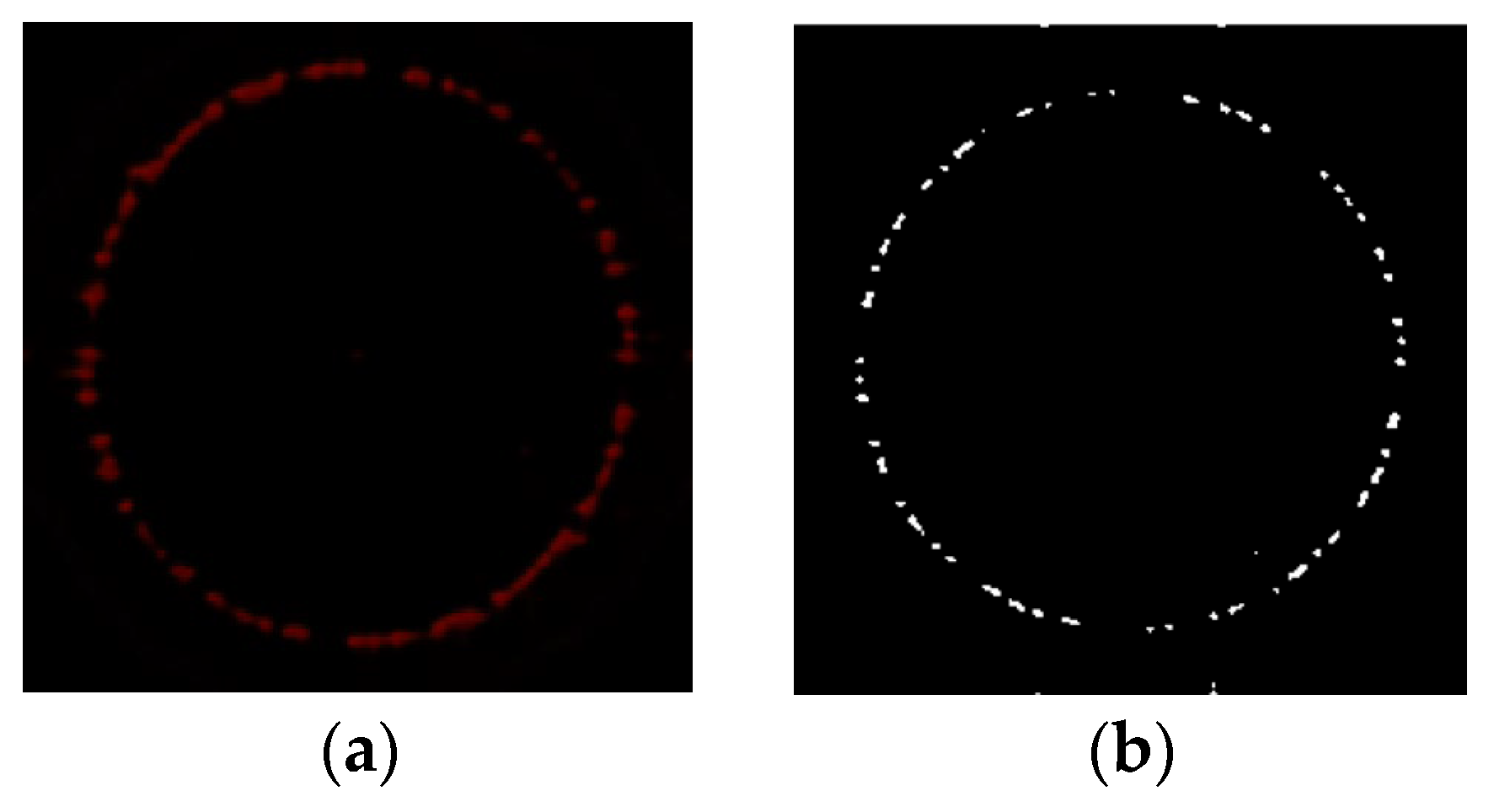 Template Watermarking Algorithm For Remote Sensing Images Based On Semantic Segmentation And