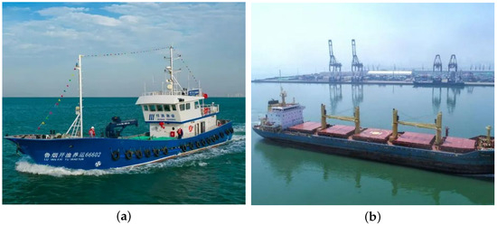 Maritime Target Radar Detection and Tracking via DTNet Transfer ...